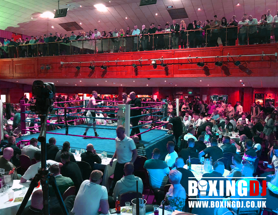 About Boxing DJ - The Boxing DJ